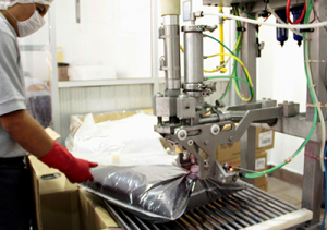 BENEFICIOS DEL SISTEMA BAG IN BOX - servibev.com